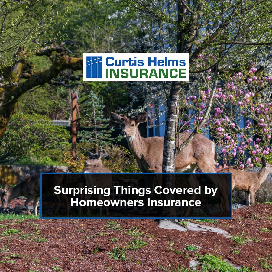 Surprising Things Covered by Homeowners Insurance | Curtis Helms Insurance